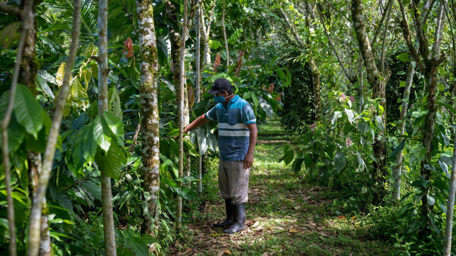 Republic of Costa Rica - The Earthshot Prize